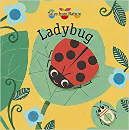 Tales From Nature: Ladybug