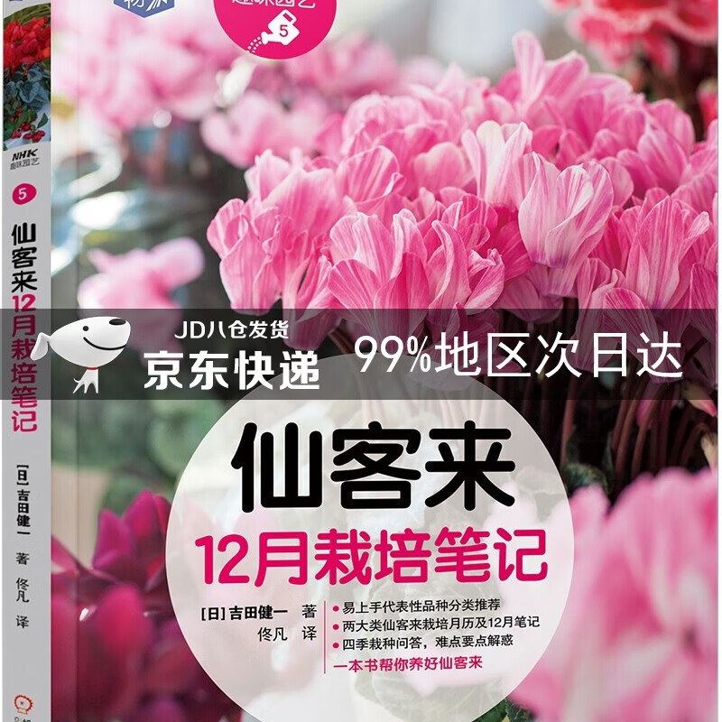 仙客来12月栽培笔记
