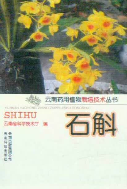 石斛【，放心购买】