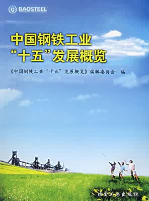 中国钢铁工业“十五”年发展概览