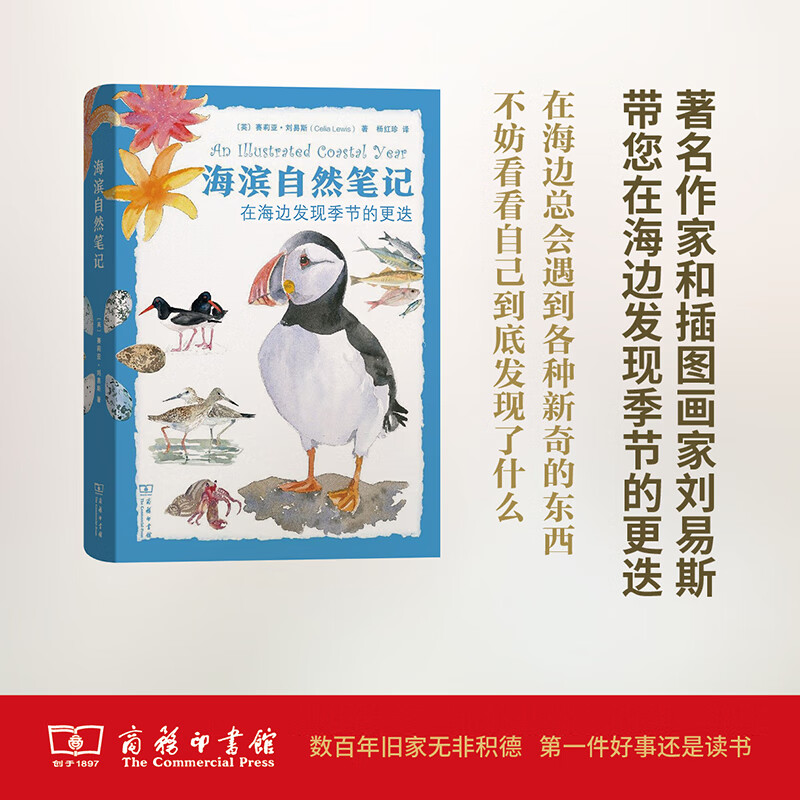 海滨自然笔记