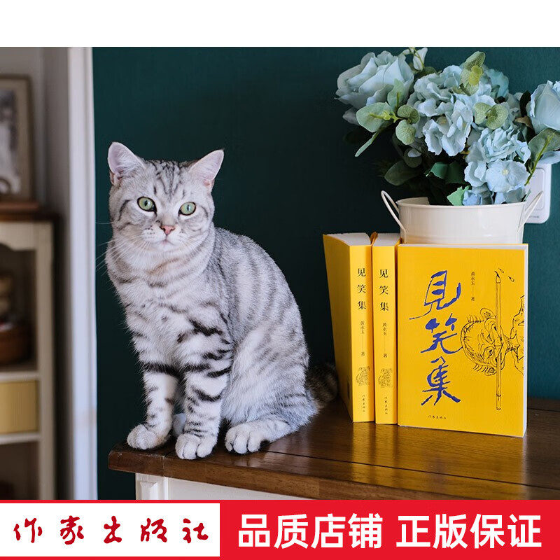 现货 见笑集 黄永玉 著 150余首诗 中国现当代诗歌文学作品集 作家出版社