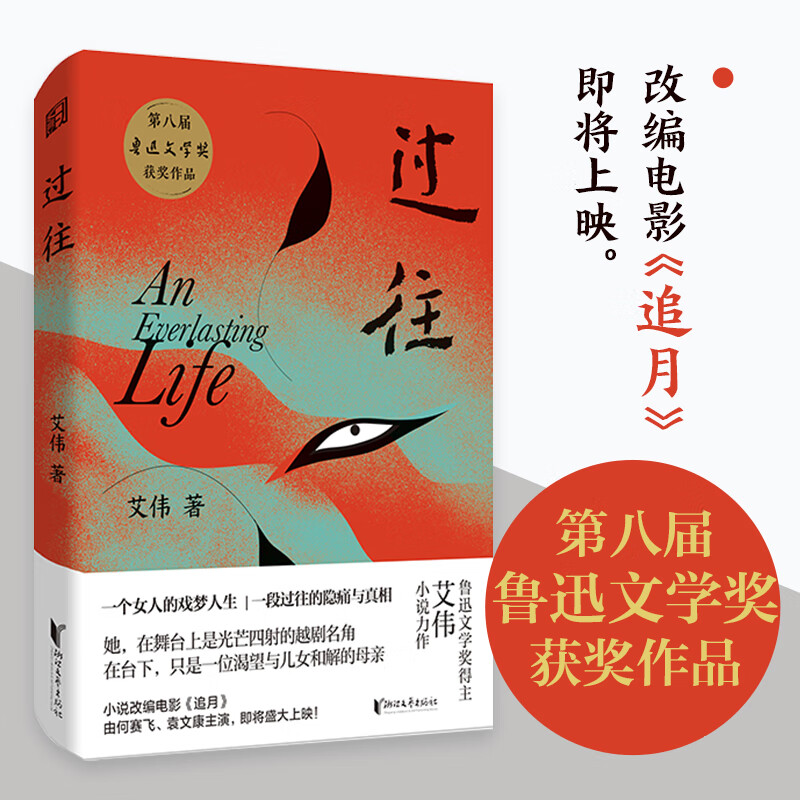 过往（第八届鲁迅文学奖获奖作品！精装插图版，一个另类母亲的感人故事；改编电影由何赛飞、袁文康主演）