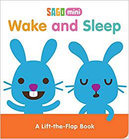 Wake and Sleep: A Lift-The-Flap
