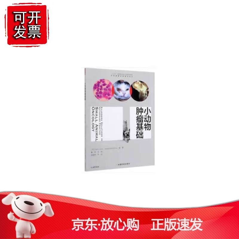 小动物肿瘤基础