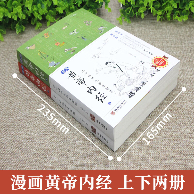 漫画图解黄帝内经马寅中著全套2册十二时辰养生智慧 二十四节气养生智慧 薛钜夫傅延龄联袂中医养生图解皇帝 生图解皇帝