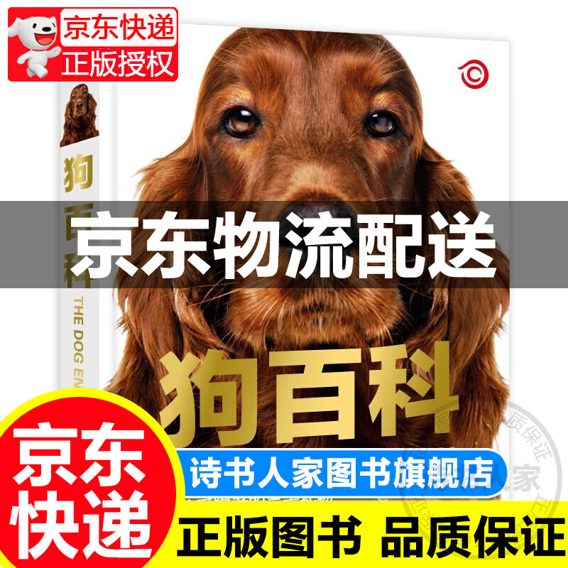 DK狗百科