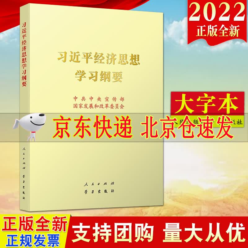 习近平经济思想学习纲要 大字本 16开大字本 人民出版社 学习出版社