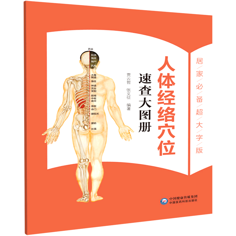 人体经络穴位速查大图册