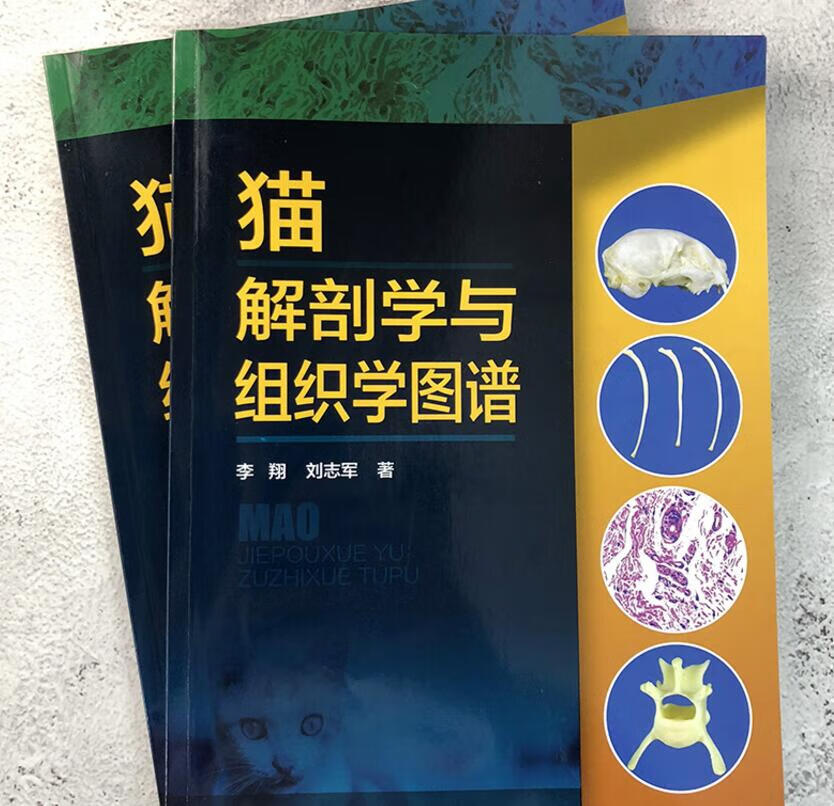 猫解剖学与组织学图谱 9787122347374 免疫系统和生殖系统形态功能及组织结构图谱 兽医书籍 动物医学 宠物医