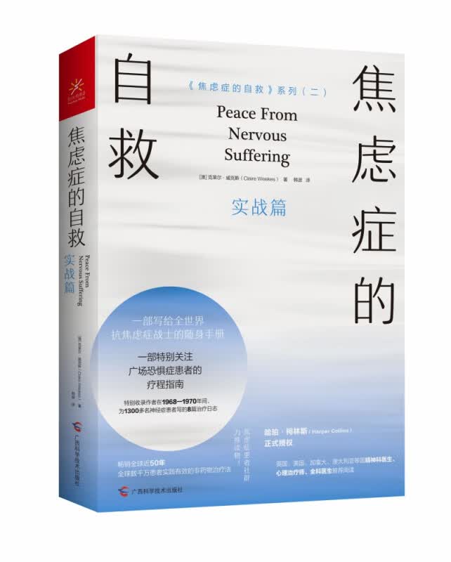 焦虑症的自救(实战篇)/焦虑症的自救系列