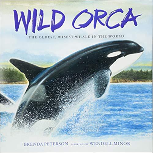 Wild Orca: The Oldest, Wisest Whale in