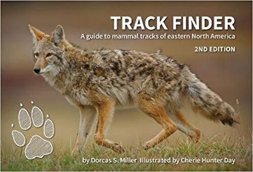 Track Finder