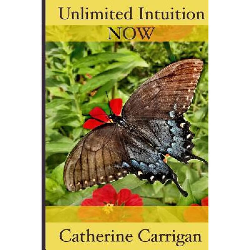 Unlimited Intuition NOW