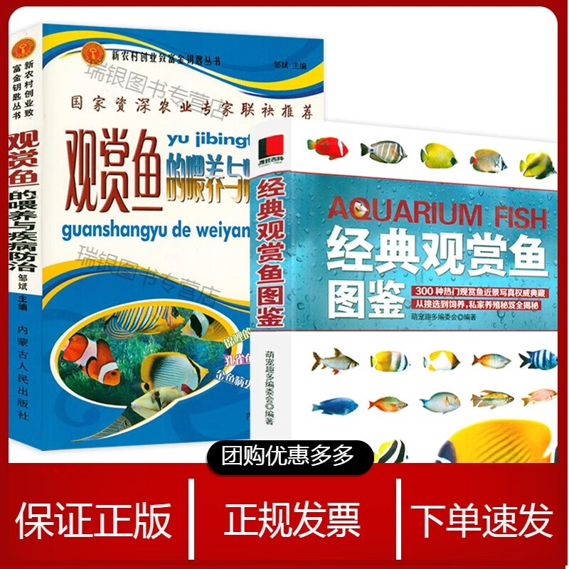 2册 经典观赏鱼图鉴+观赏鱼的喂养与疾病防治 养鱼大全技术知识手册选鱼饲养与鉴赏图典养殖入门淡水鱼类
