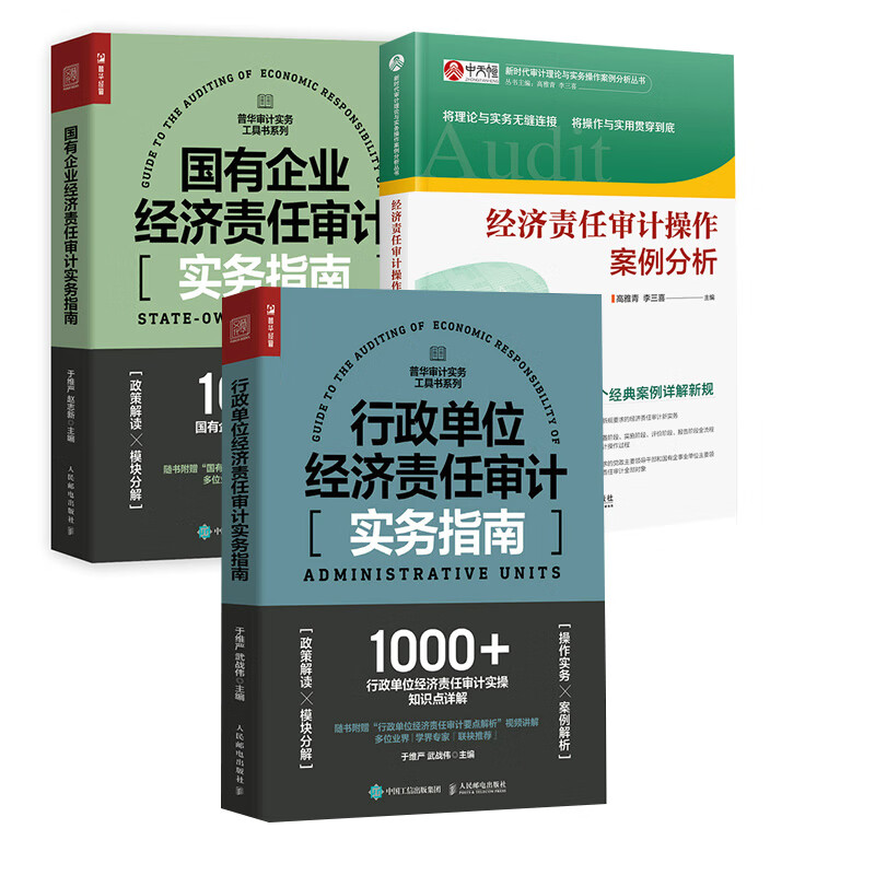 【全3册】国有企业经济责任审计实务指南经济责任审计操作案例分析行政单位经济责任审计实务指南国企审计工具书财务报告审计报告