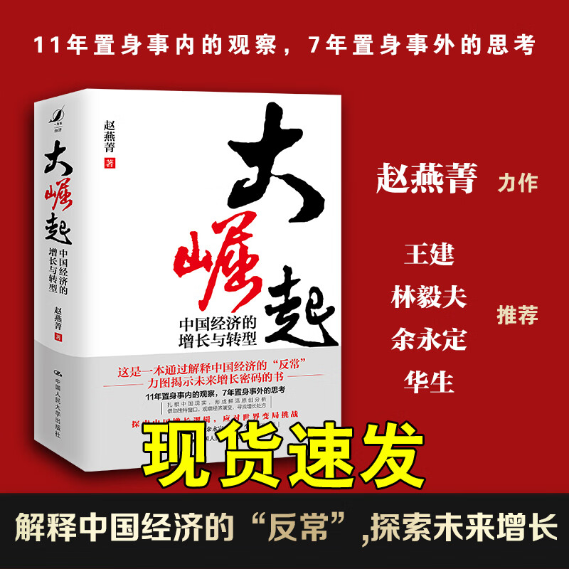 大崛起 中国经济的增长与转型 赵燕菁 城市规划置身事内土地财政中国政府与经济发展理论中国式现代化人大学出版社9787300309705