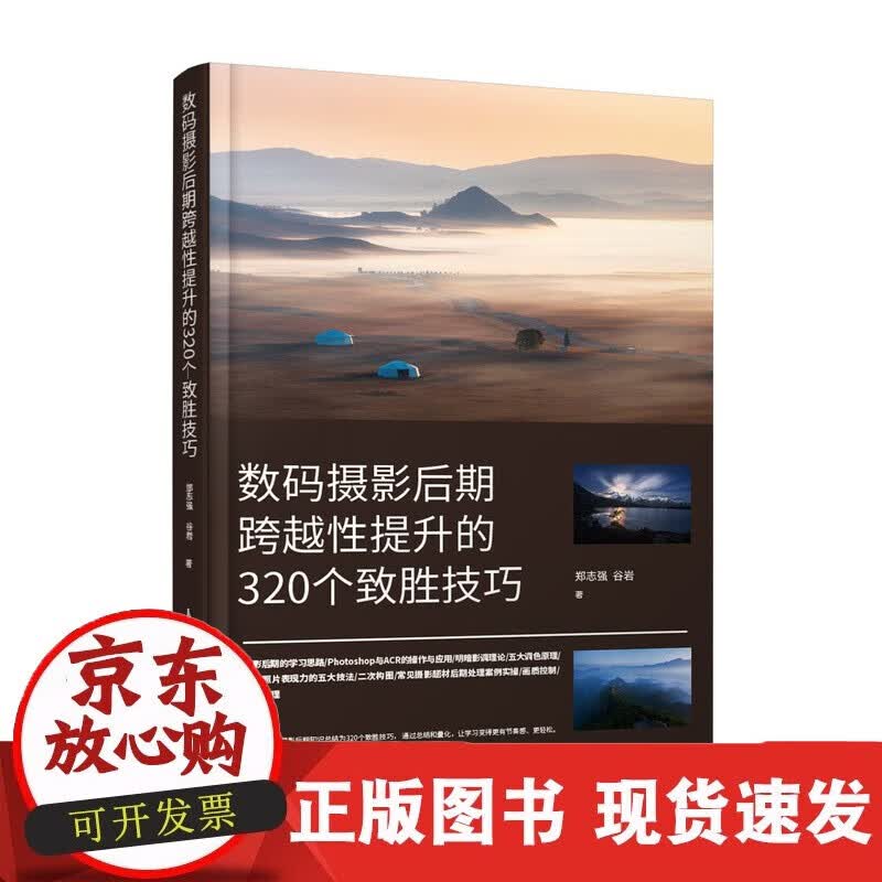 速发 摄影后期跨越性提升的320个致胜技巧摄影后期基础教程书ps教程风景人像照片后期处理摄影后期调色