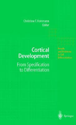 Cortical Development