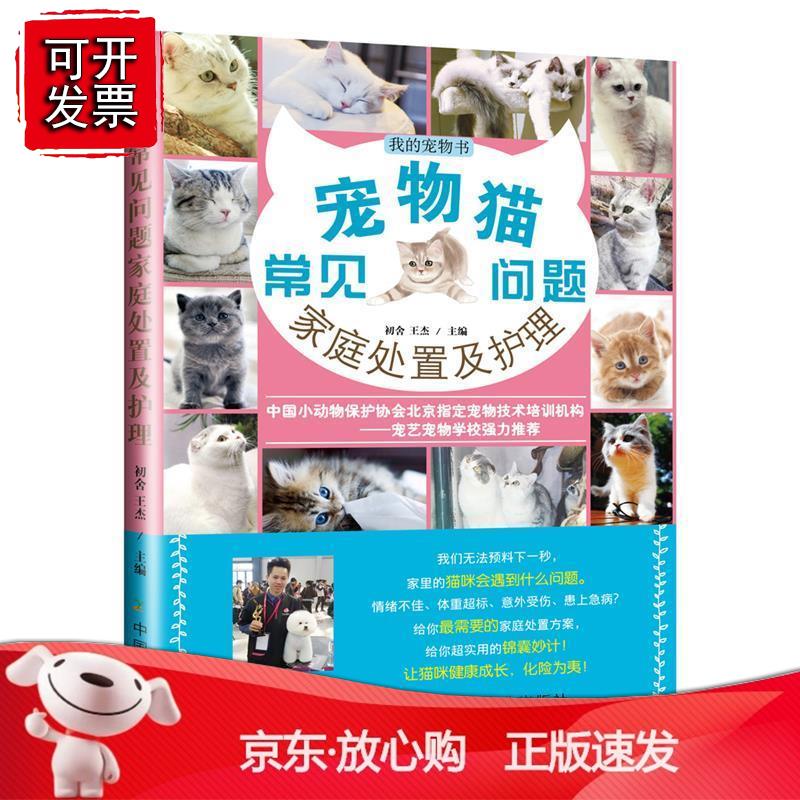 宠物猫常见问题家庭处置及护理