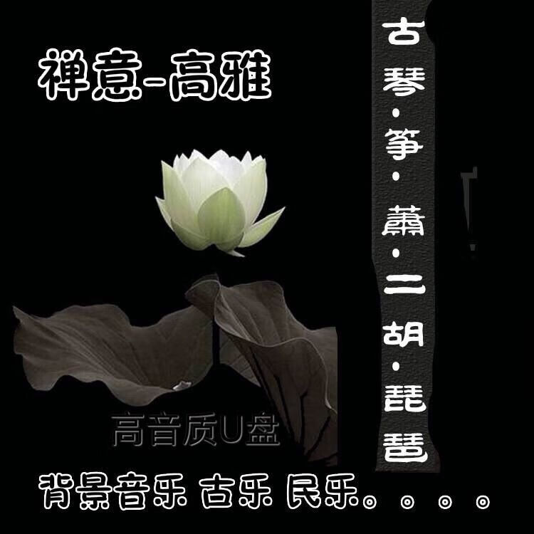 中国古典禅意民乐车载音乐U盘带二胡古筝古琴洞箫埙背景古风mp3 16GB