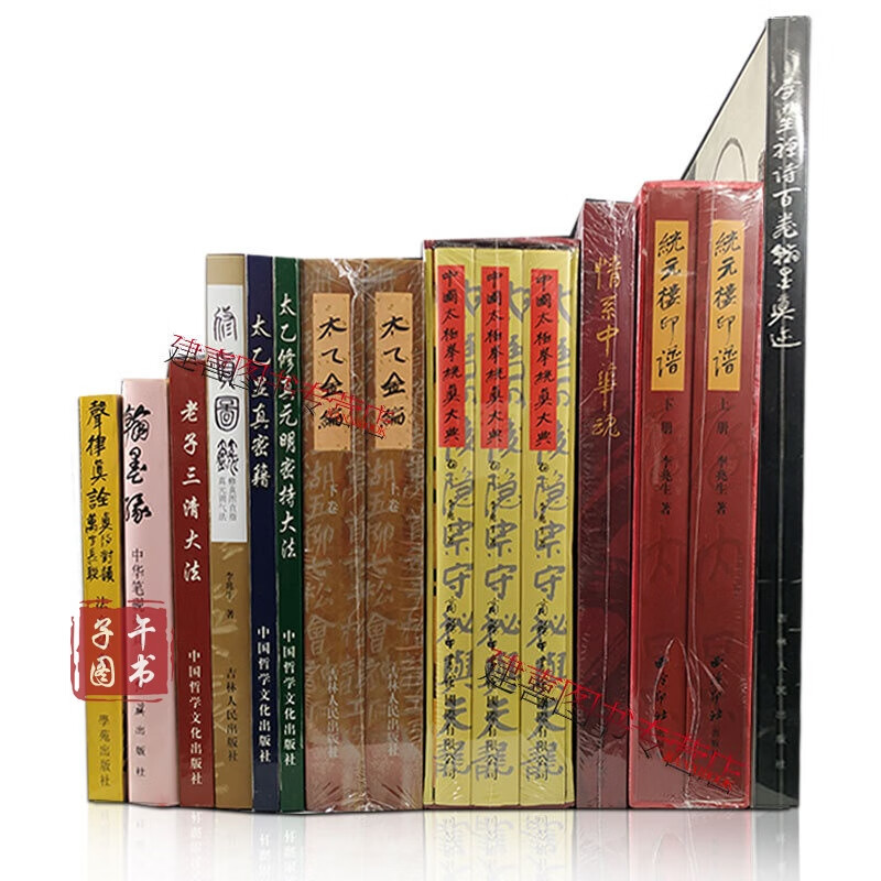 李兆生合集全13册 太乙金编 中国太极拳通真大典 太乙显真密籍 修真图录 书京东图书
