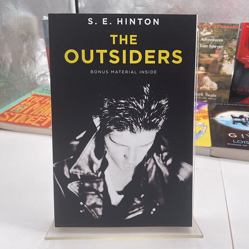 进口英文原版现货 The Outsiders 局外人 常青藤国际大奖小说 追逐金色的少年 美国图书馆协会青少年读物奖 S.E. Hinton 著 浙江省外文书店书籍