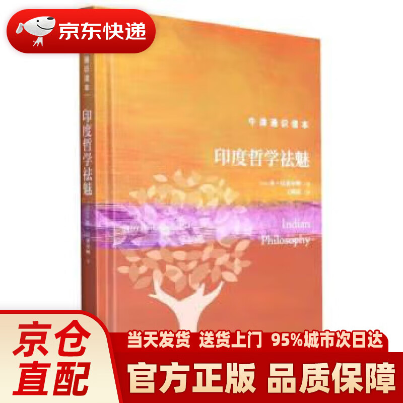 印度哲学祛魅(精)牛津通识读本