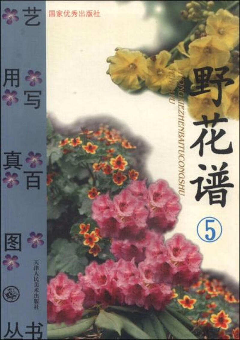 艺用写真百图丛书：野花谱5