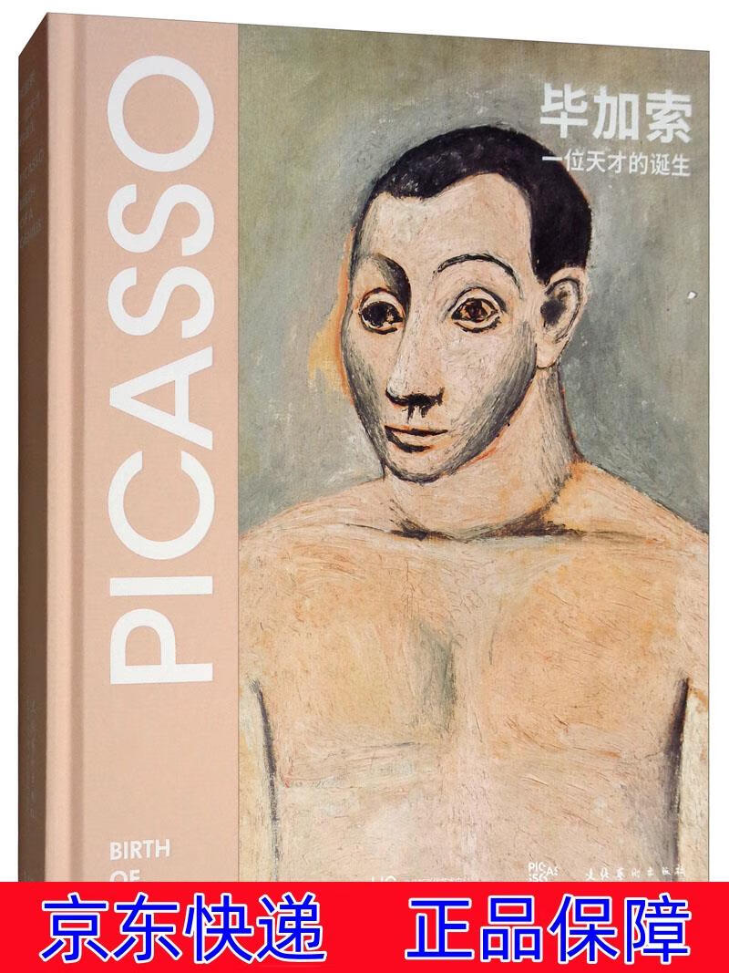 毕加索：一位天才的诞生 绘画史类书籍 天才的诞生