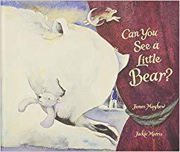 Can You See a Little Bear?