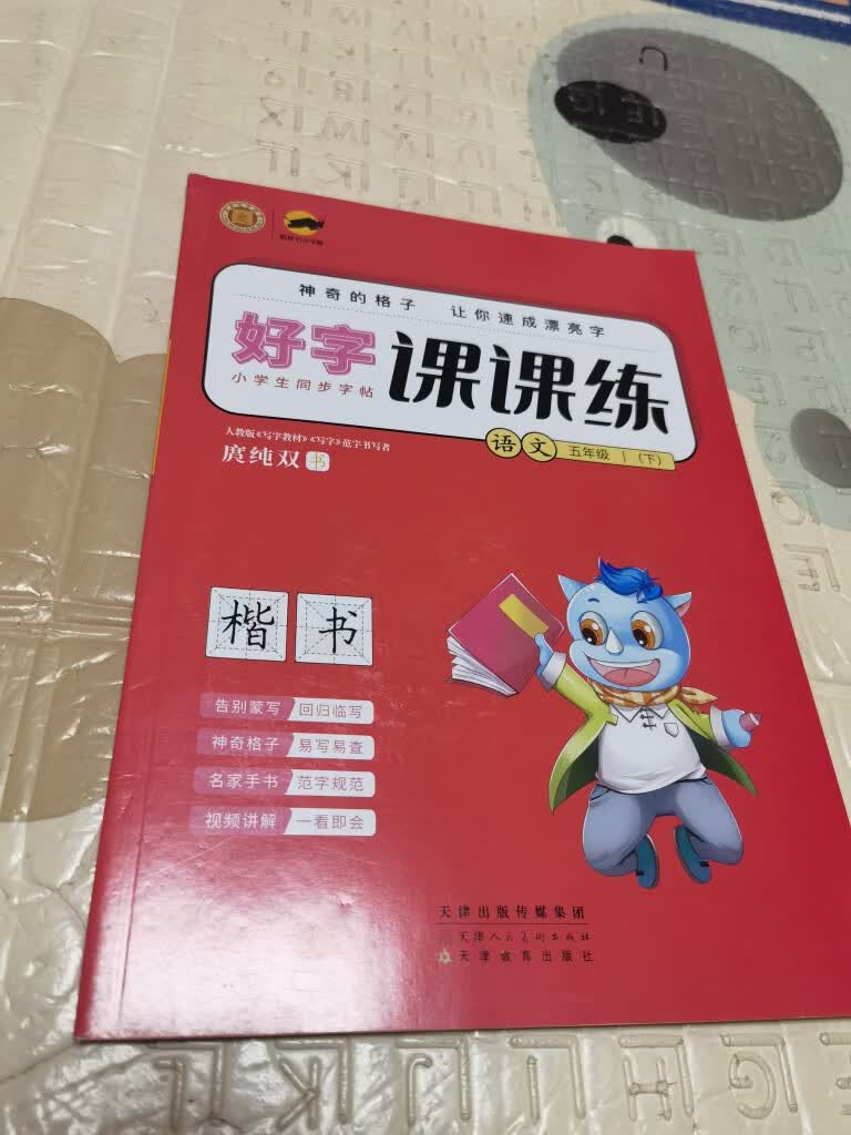 人教版统编版好字课课练语文五年级下册 五年级下册