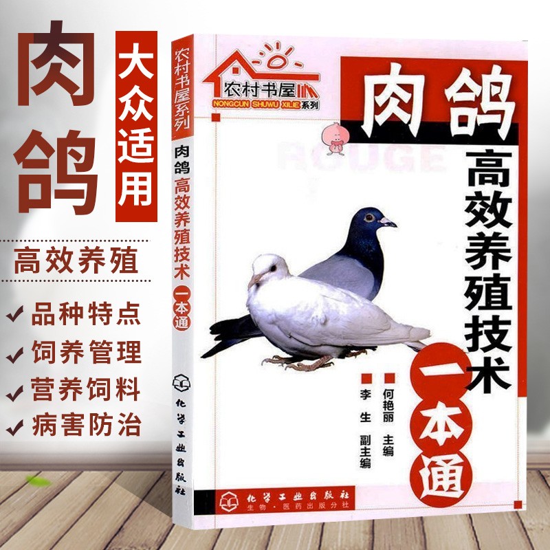 肉鸽养殖技术一本通 肉鸽养殖技术书籍 养鸽子的书籍 科学养殖肉鸽病害教程 农业养殖技术大全书籍 肉鸽养殖书
