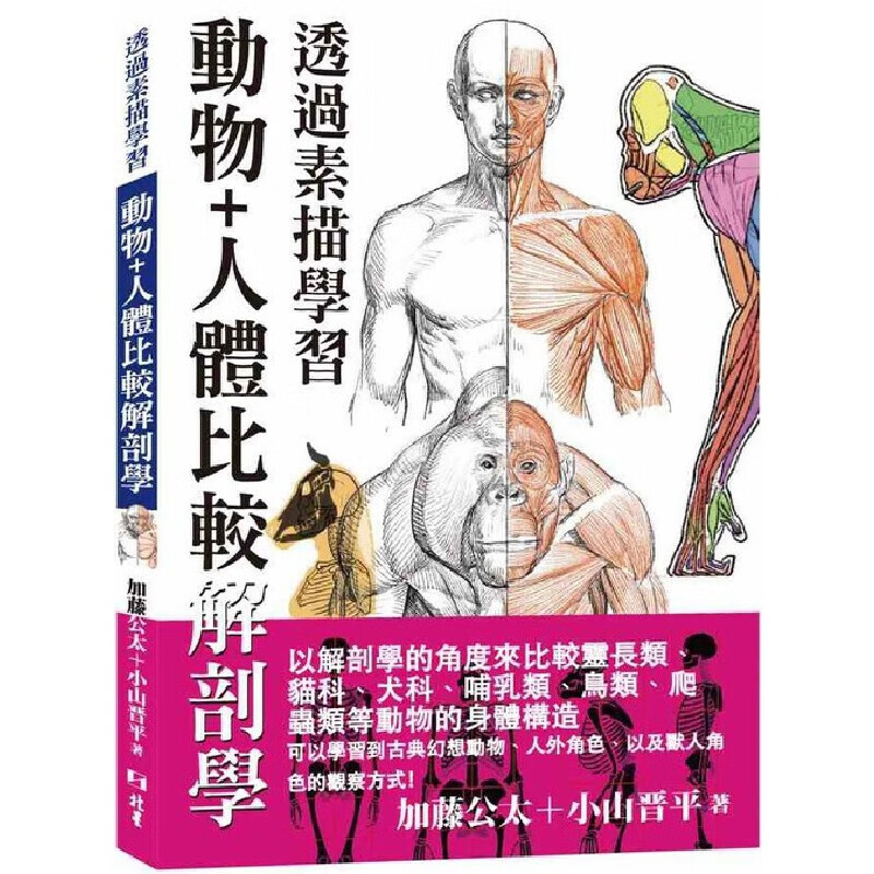 现货 加藤公太 透过素描学习 : 动物+人体比较解剖学 北星