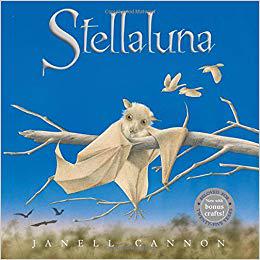 Stellaluna 25th Anniversary