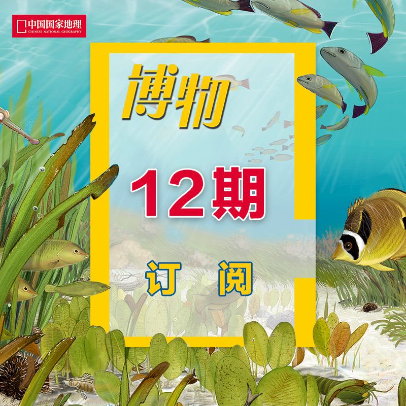 【博物1年】2023年6月起《博物》杂志12期订阅期刊杂志社直营A1