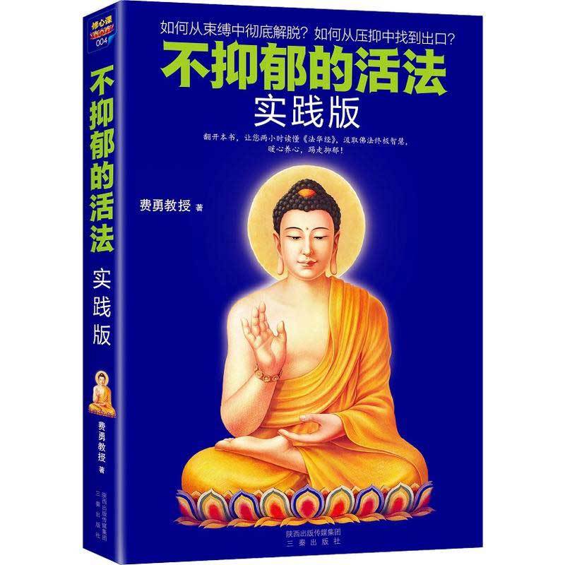 不抑郁的活法——实践版 费勇金刚经修心课 取佛法智慧佛学书不焦虑的活法六祖坛经阿弥陀佛佛学书 宗教 学书 宗教