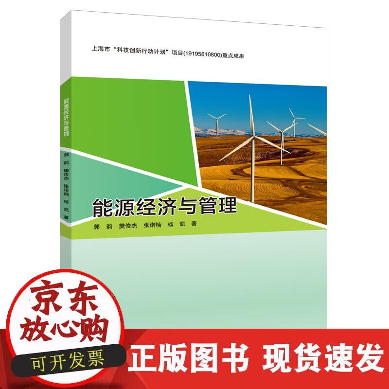 【现货】能源经济与管理