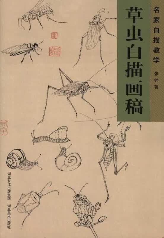 草虫白描画稿 张铨【书】