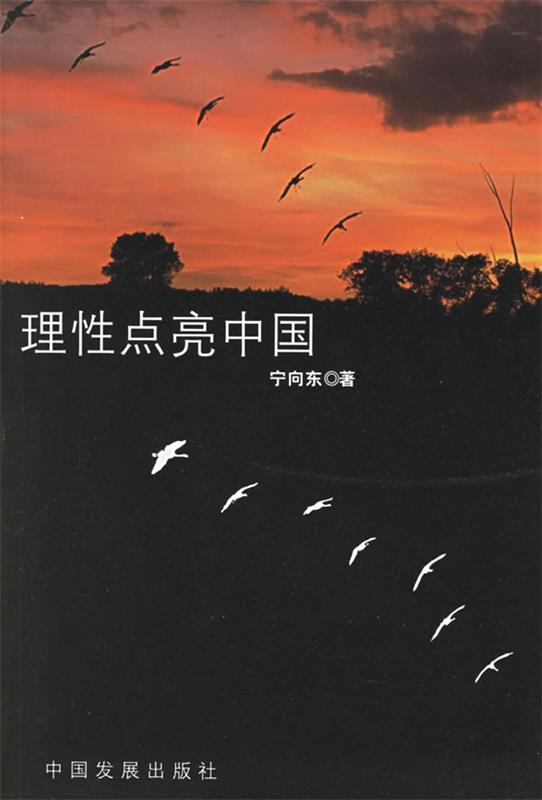 理性点亮中国 宁向东【书】