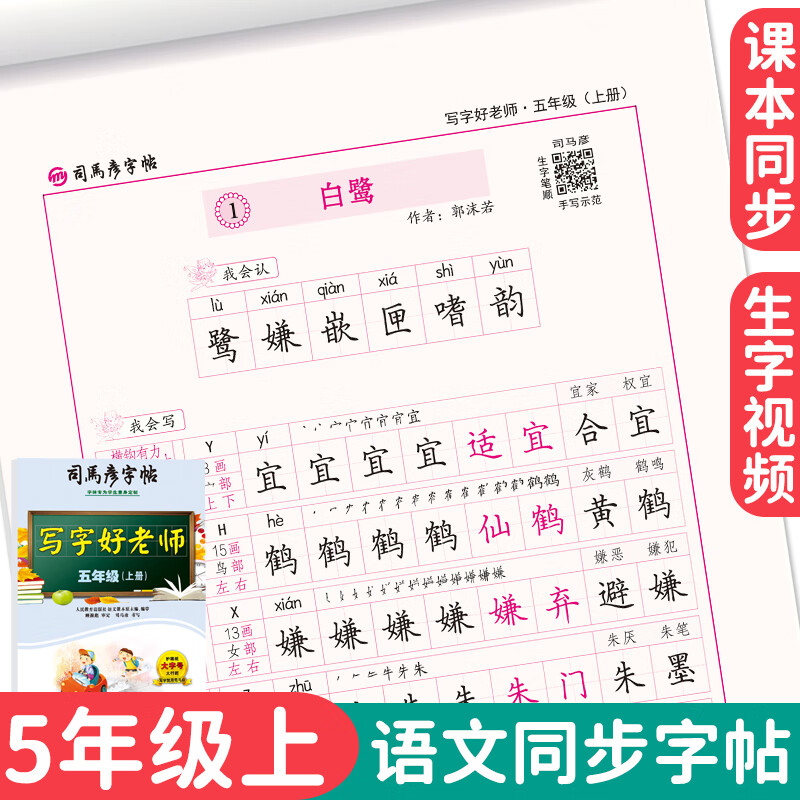司马彦字帖五年级上册字帖楷书生字同步小学生写字好老师2022秋5年级人教版书法本硬笔课本语文每日一练天天贴练习专用