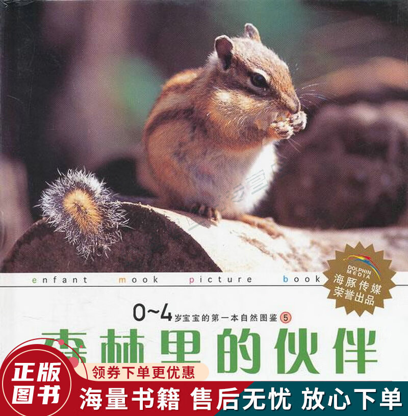 森林里的伙伴
