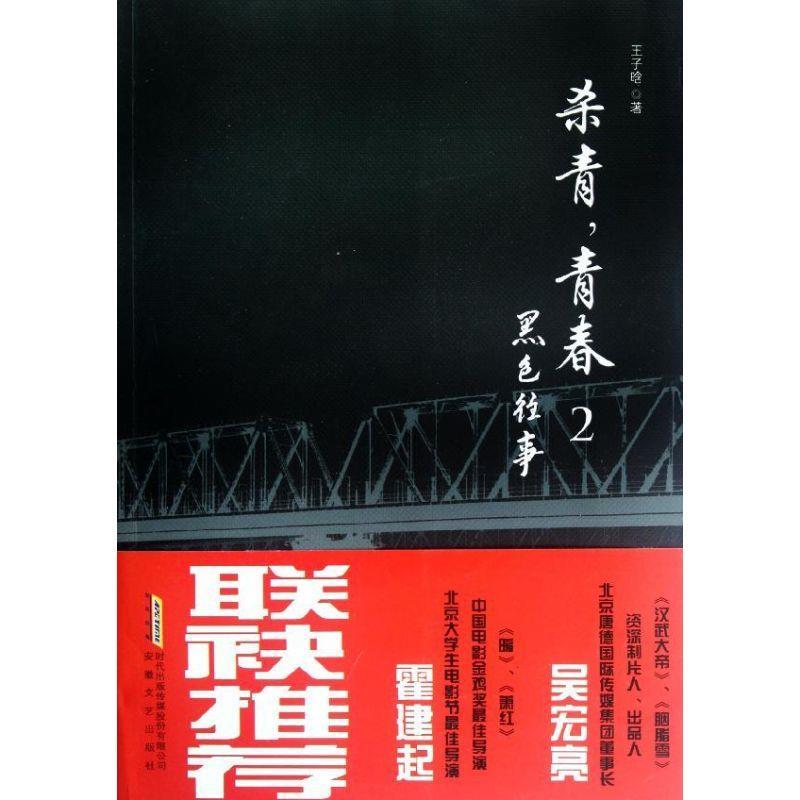 杀青，青春2 王子晗著【书】