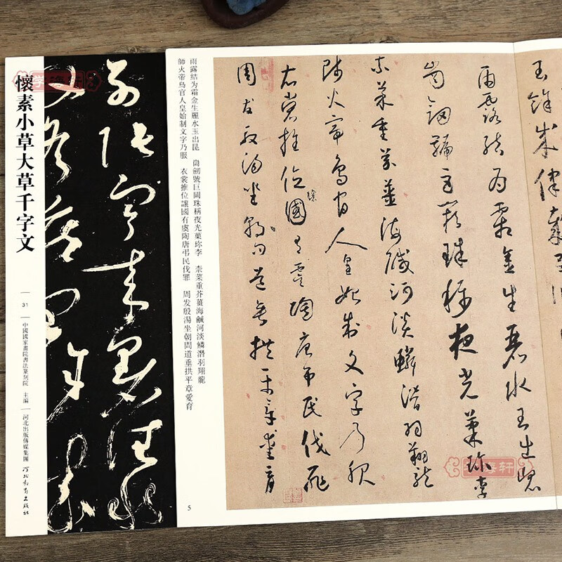 学海轩怀素小草大草千字文031 哑光平铺繁体旁注传世书法碑帖怀素草书原碑原帖毛笔临摹字帖墨迹碑帖中国画院书法篆刻院编河北教育