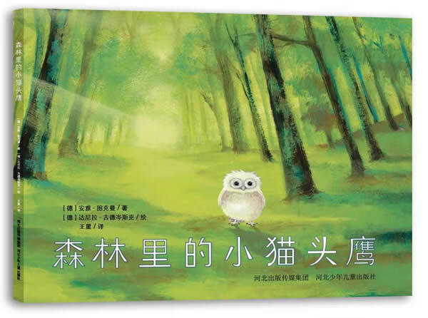 森林里的小猫头鹰【，放心购买】