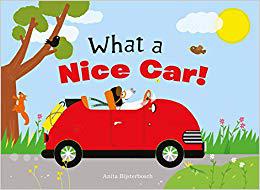 What a Nice Car