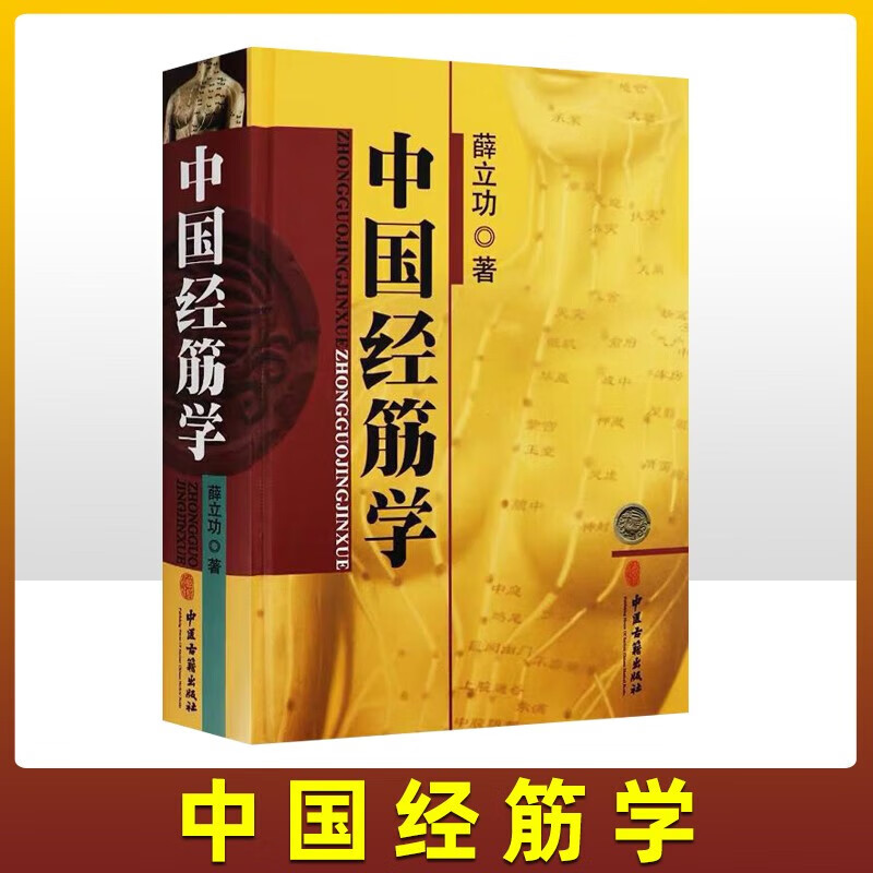中国经筋学（平装） 薛立功主编 中医临床经络筋骨学位按摩推拿中医养生诊疗方法医学 中医 基础理论 中医古籍出版社