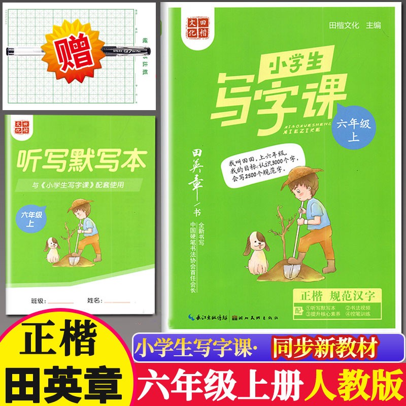 田英章语文同步写字课小学生字帖 上下册 写字课课练一二三四五六年级钢笔字帖 儿童初学者硬笔楷书入门生字抄写本 6年级上（赠默写本+纸笔）