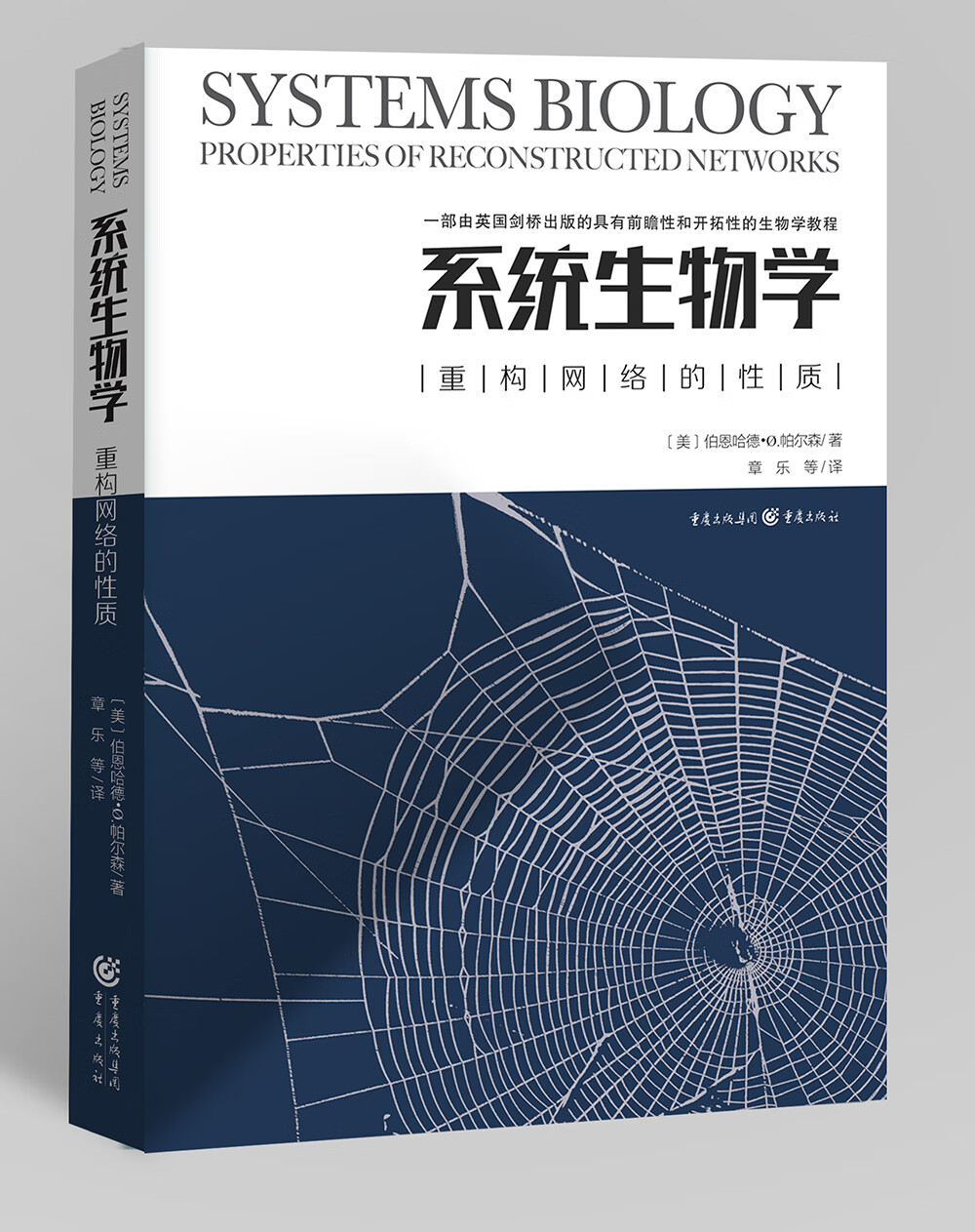系统生物学：重构网络的性质