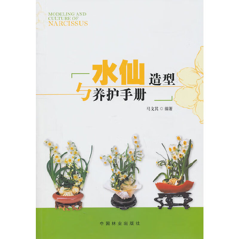 水仙造型与养护(带光盘)(1-1)